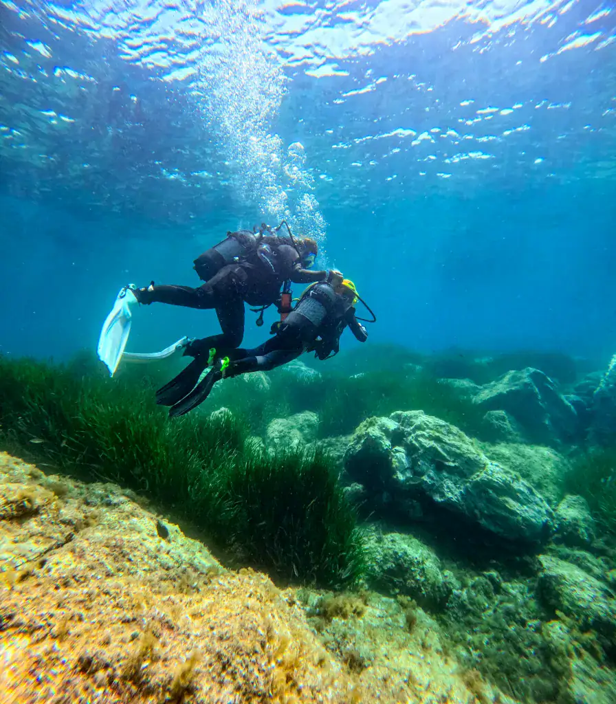 Baptême de plongée : tout savoir avant sa première immersion - Sanary ...